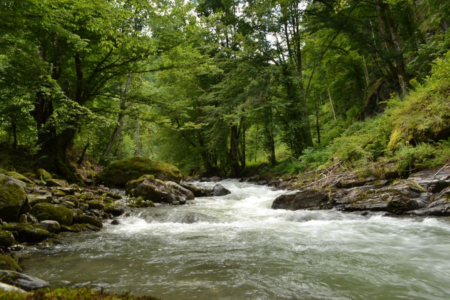 Râurile României » Echipa WWF-Romania